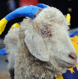 NASEC - The Naval Academy Science and Engineering Conference