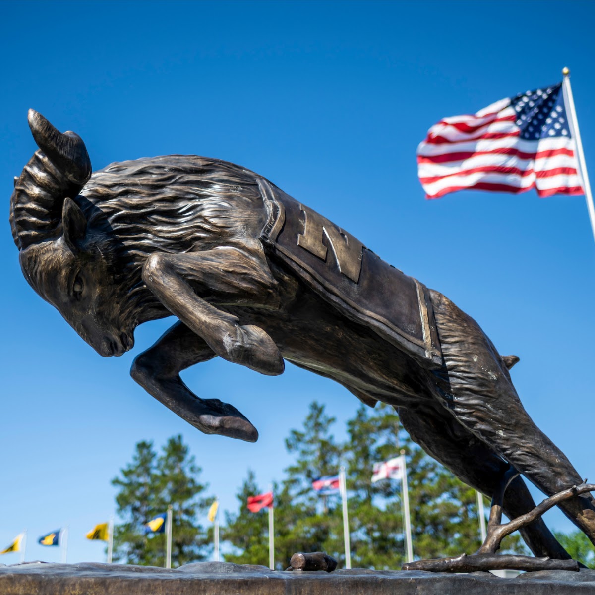 Bill the Goat: The Making of a Mascot